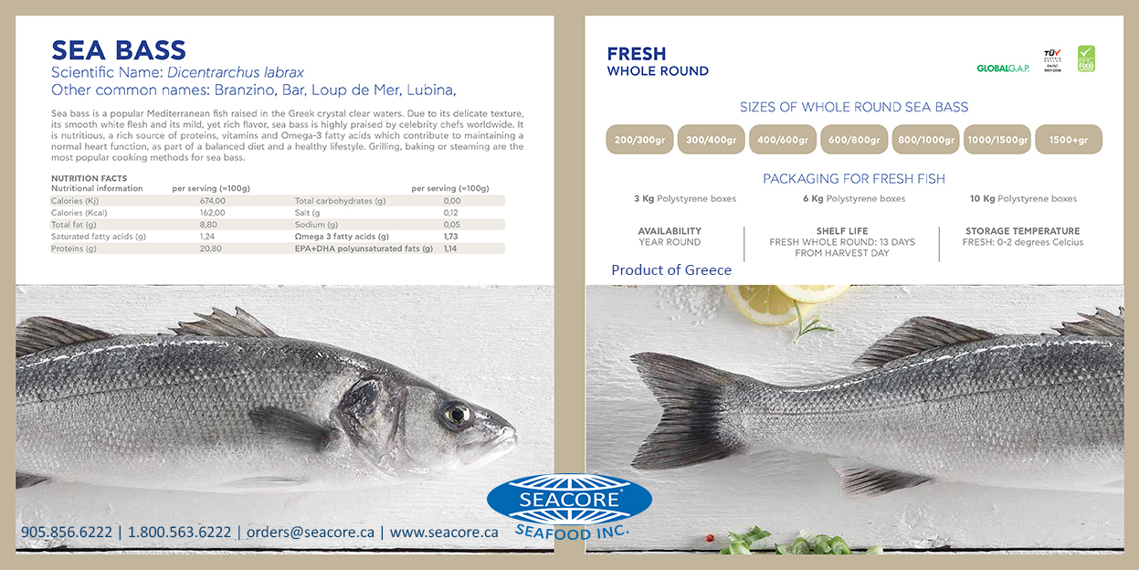 European Sea Bass Euro Bass Branzino Mediterranean Sea Bass Seacore Seafood Products